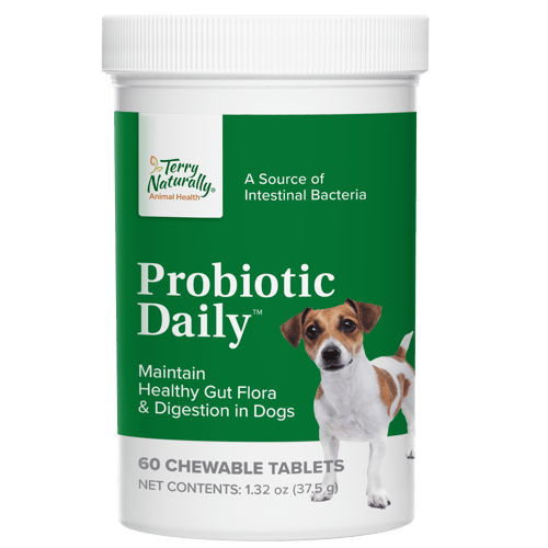 Probiotic support for dog's bowel health and digestion.