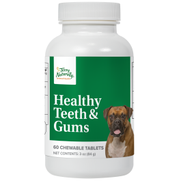 Healthy Teeth & Gums | Terry Naturally Animal Health