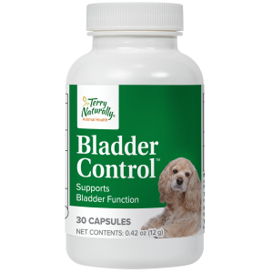 Holistic care for your treasured companion