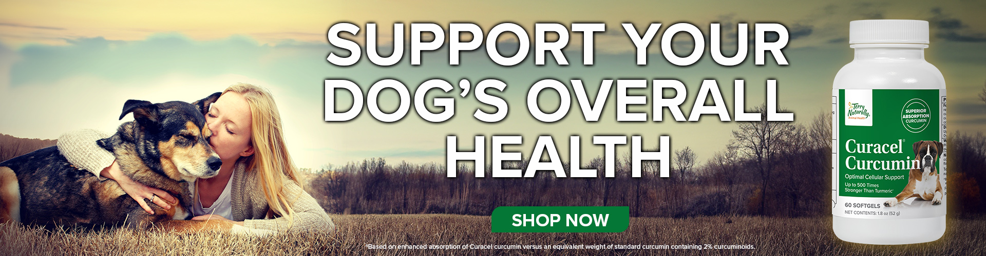 Holistic care for your treasured companion