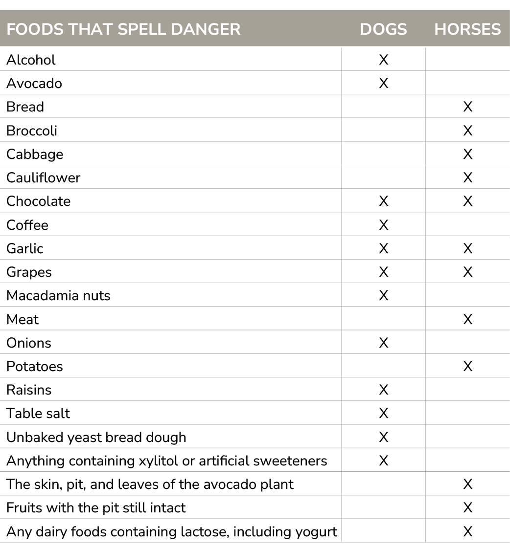 Be Aware! It’s National Pet Poison Prevention Month